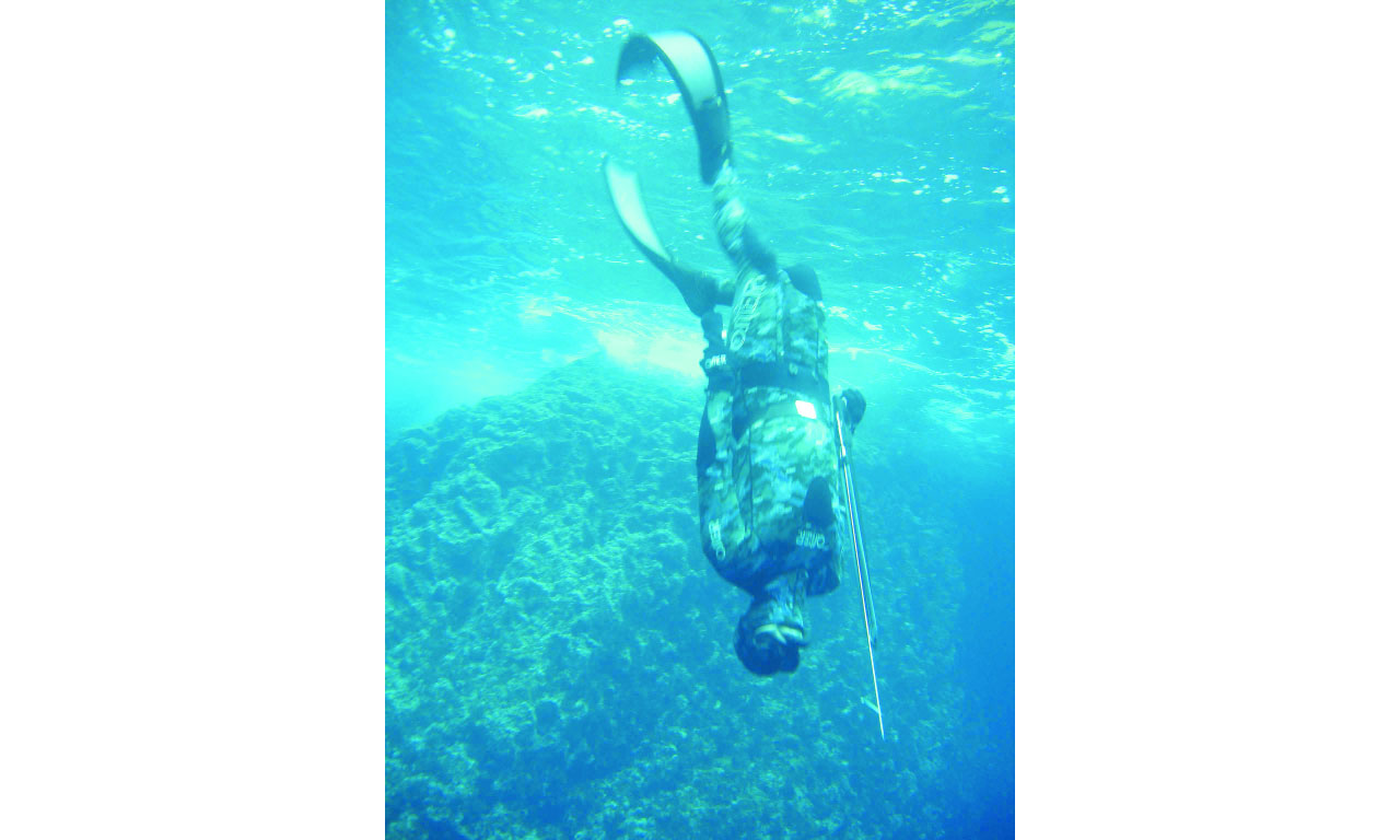 Pesca subacquea di fine estate, ISTRUZIONI PER L'USO