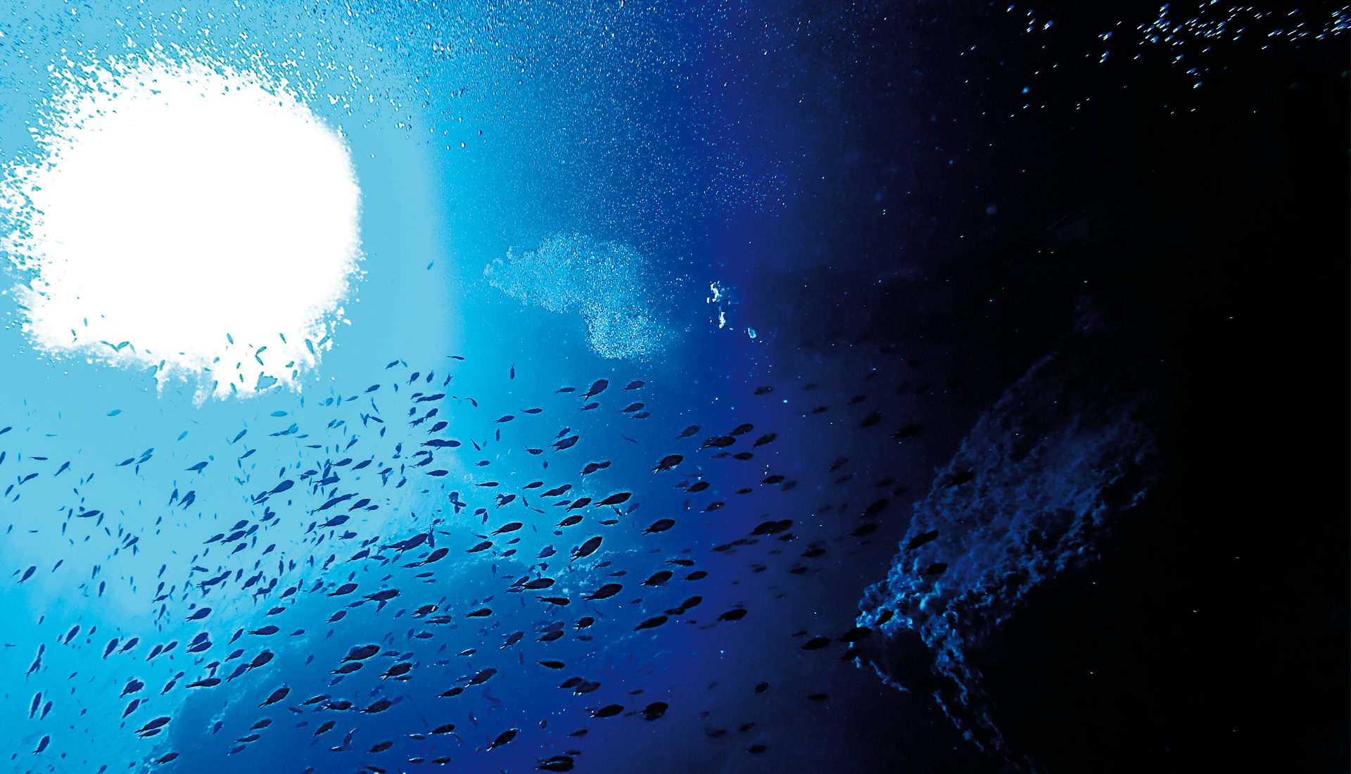 Il grande fascino dell'Isola del Tinetto: la Grotta sommersa