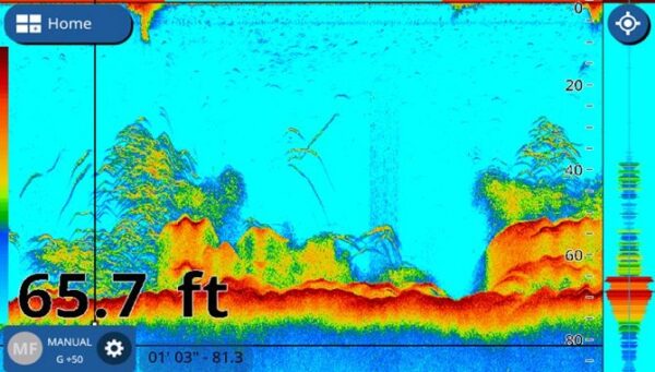 GP1871F e GP1971F: le novità della nuova versione 4.0