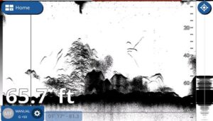 GP1871F e GP1971F: le novità della nuova versione 4.0