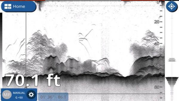 GP1871F e GP1971F: le novità della nuova versione 4.0