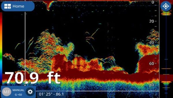 GP1871F e GP1971F: le novità della nuova versione 4.0