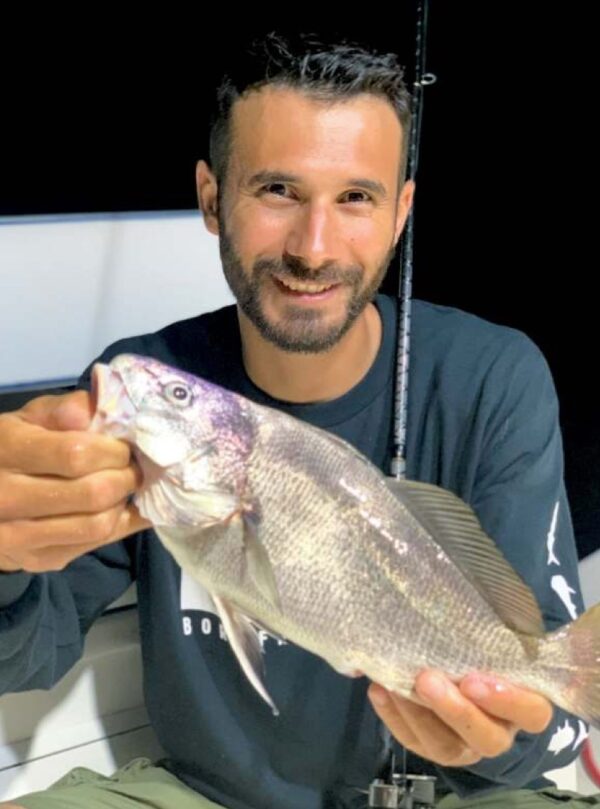 Le corvine di Jesolo