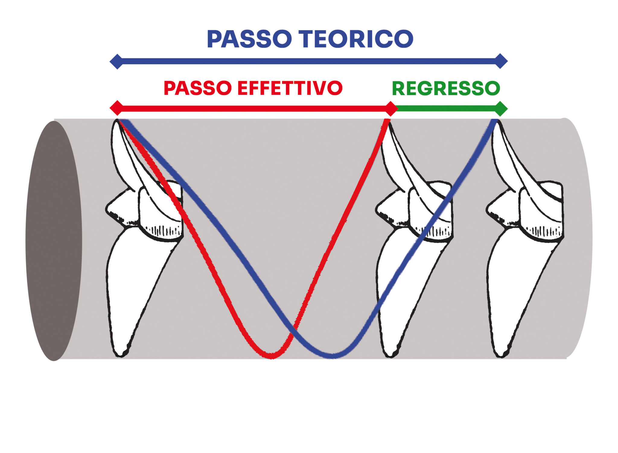 L'elica: effetti, caratteristiche e funzionamento