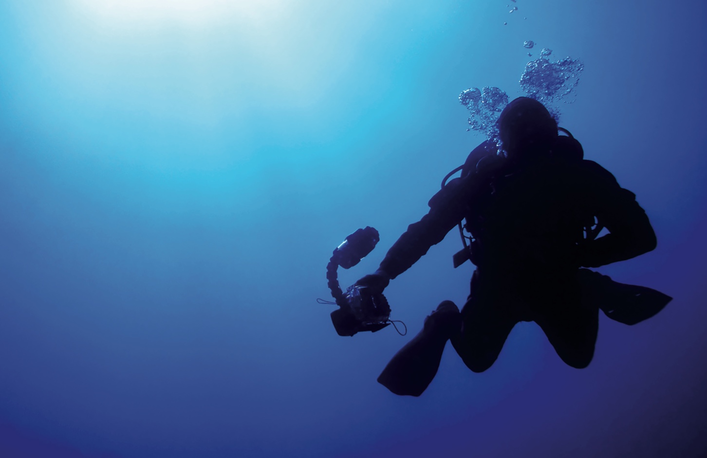 Cosa sapere prima di diventare "diver", una scelta consapevole