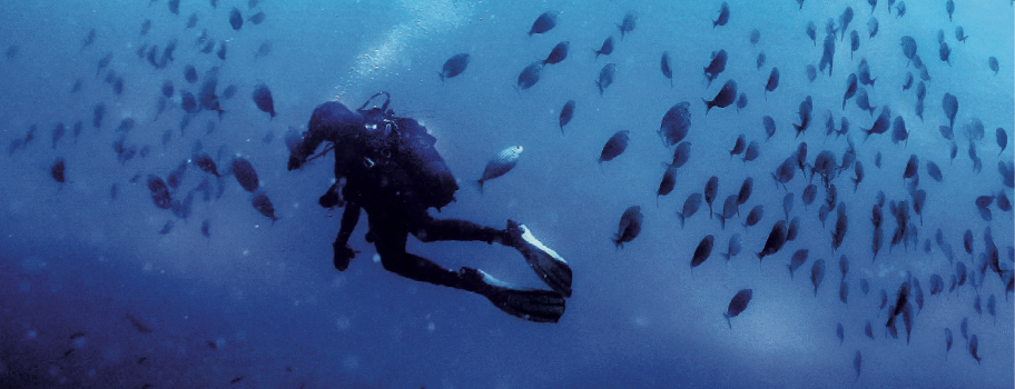 Cos'è la subacquea? — Gli aspetti emotivi e tecnici